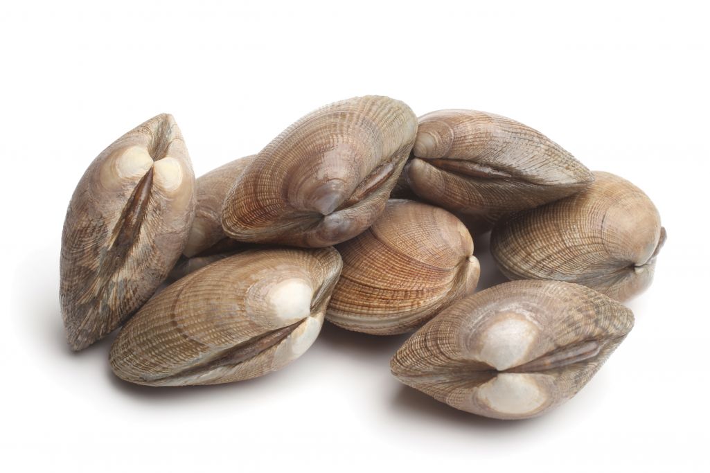 Shellfish Allergy: Symptoms, Diagnosis, and Treatment | Latitude
