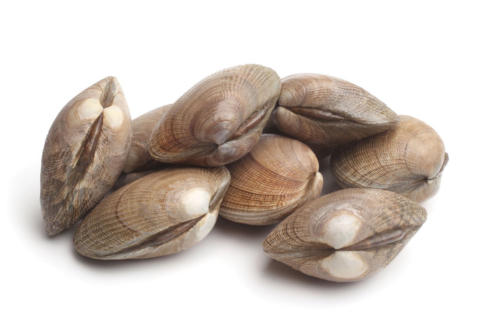 Shellfish Allergy: Symptoms, Diagnosis, and Treatment | Latitude