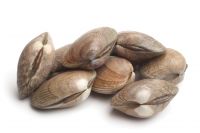 Shellfish Allergy: Symptoms, Diagnosis, and Treatment | Latitude