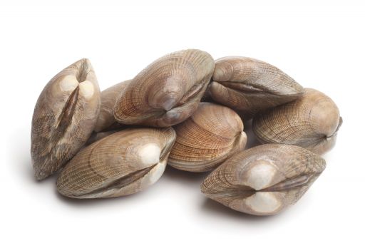 Shellfish Allergy: Symptoms, Diagnosis, and Treatment | Latitude